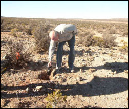 Jun 26, 2006 Wealth Minerals - Stock of the Month The real Asset Report ...